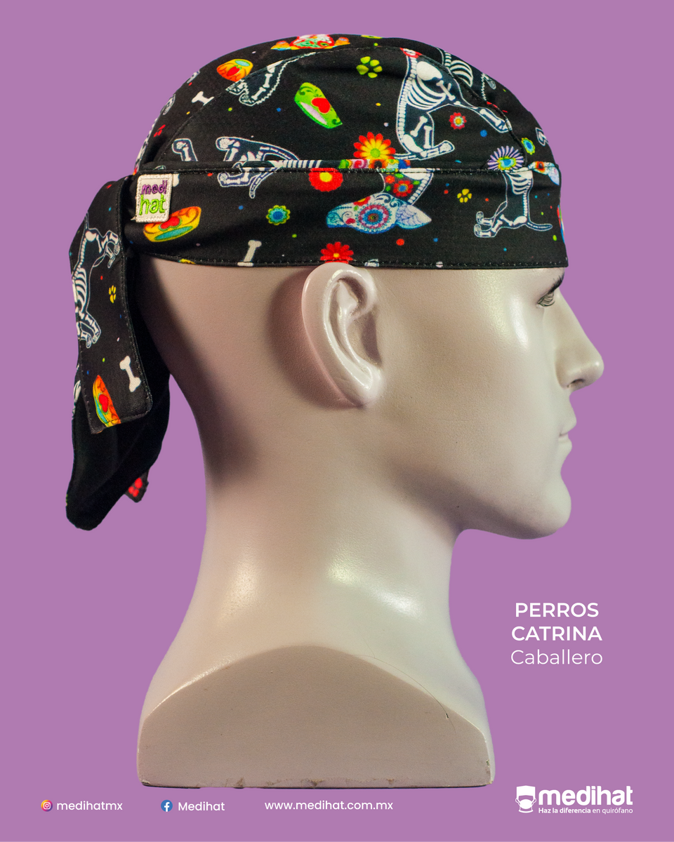 Perros Catrina Caballero – MediHat